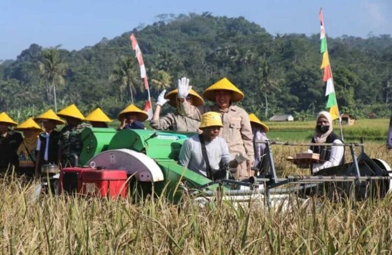 Kabupaten Sukabumi Gerakan Panen Padi Nusantara